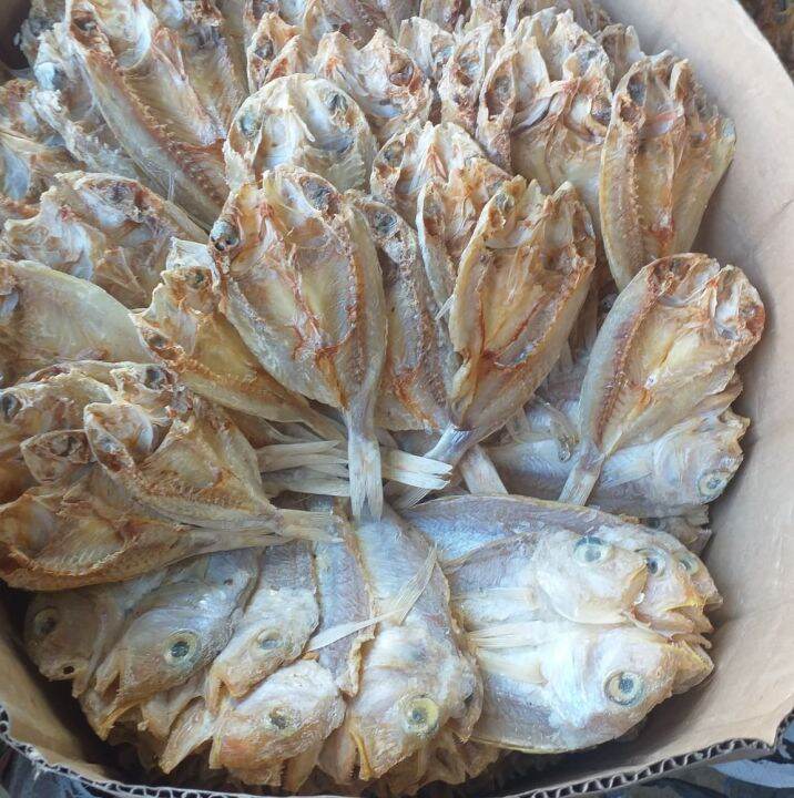 BISUGO SALTED DRIED FISH 500grams and 1000grams | Lazada PH