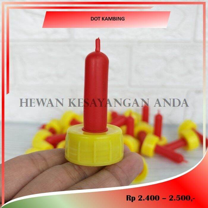 Dot Cempe Dot Anak Kambing Domba dll | Lazada Indonesia