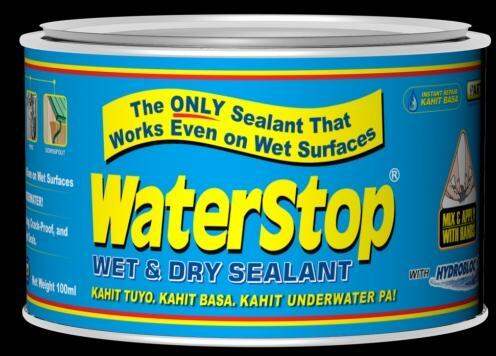 Waterstop Wet and Dry Sealant 60ml | Lazada PH