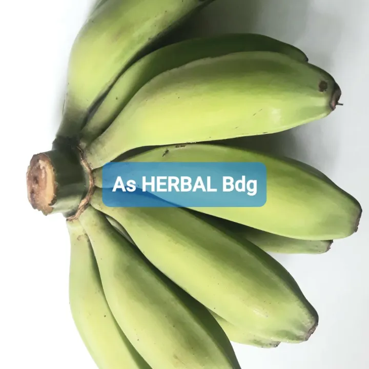 Jual buah pisang batu segar mentah 1 kg | Lazada Indonesia