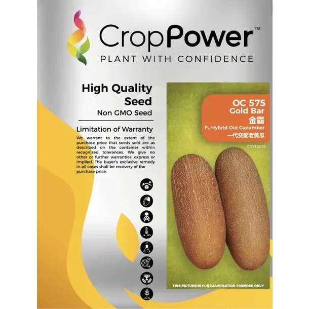 Benih Timun Tua OC575 Gold Bar F1 Hybrid Old Cucumber Crop Power ...
