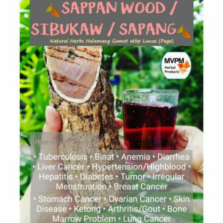 Sibukaw/ Sappan Tree/ Sapang Red Tea Miracle Tea 1 MONTH USE | Lazada PH