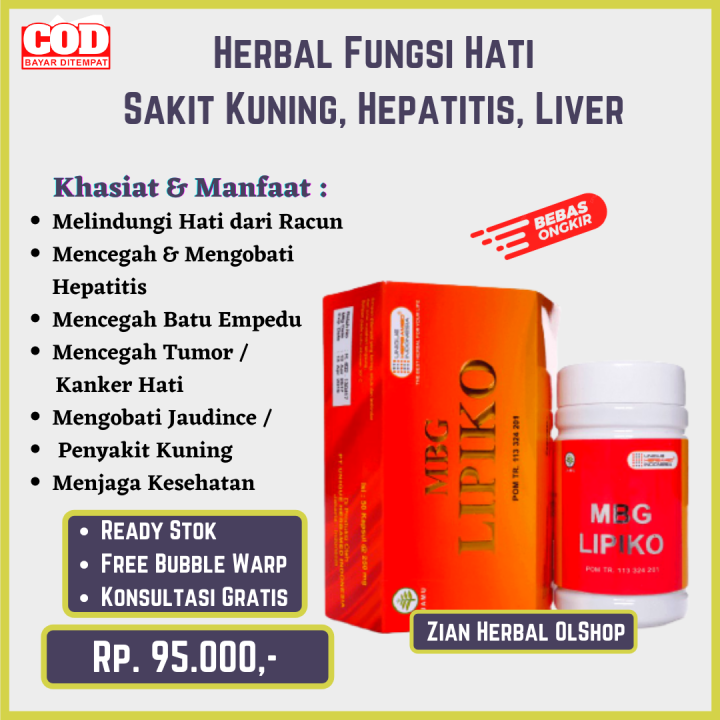 LIPIKO Herbal JAUNDICE (SAKIT KUNING MATA, KULIT) HEPATITIS dan ...