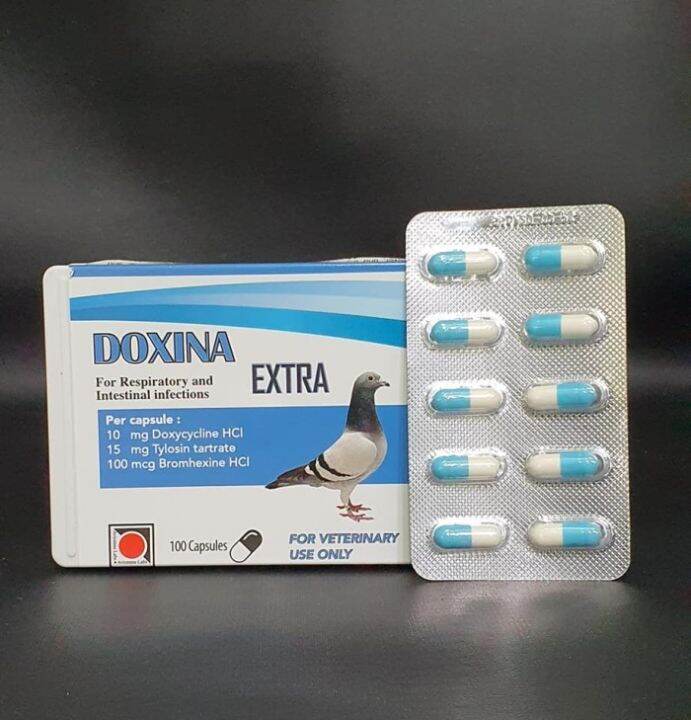 1 STRIP ISI 10 CAPSUL DOXINA EXTRA - AVICENNA LABS - TURKI-ANTIBIOTIK ...