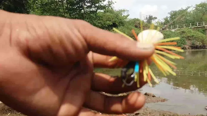 jaws frog mini lure casting gabus | Lazada Indonesia