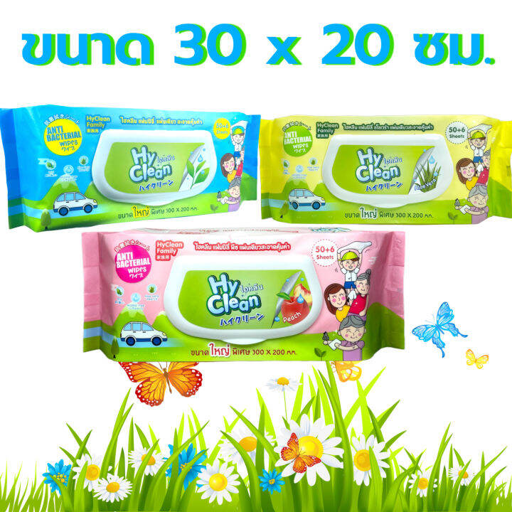 Hyclean Hy Clean Anti bacterial Wipes ไฮคลีน ทิชชู่เปียกทำความสะอาด ...
