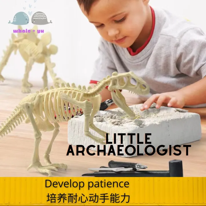 Dinosaur Dino Excavation Kits ,Mainan Pendidikan Tulang , Dino Fossil ...