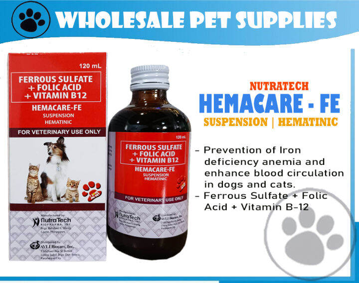 HEMACARE - FE Suspension (HEMATINIC) 120mL | Lazada PH