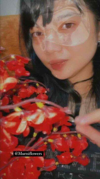 Bunga sakura mini | Lazada Indonesia