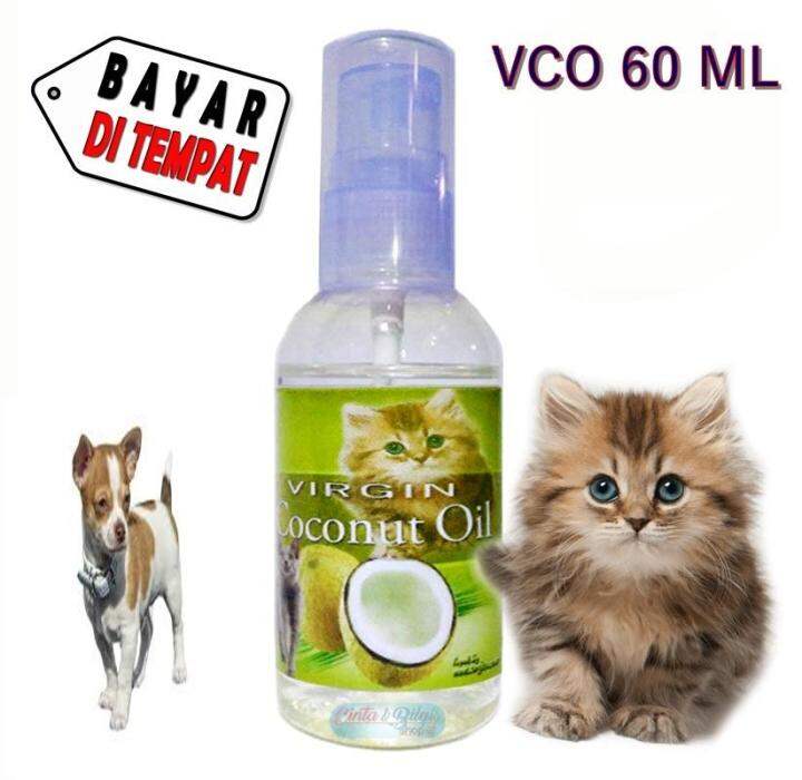 VIRGIN COCONUT OIL (VCO) OBAT JAMUR SCABIES CACING PENUMBUH BULU KUCING ...