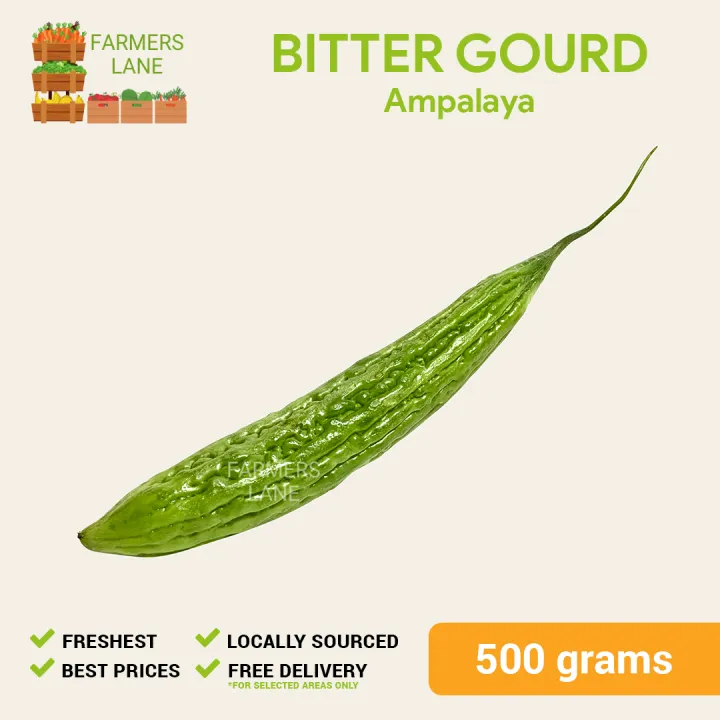 Farmers Lane - Fresh Bitter Gourd - Ampalaya - Native - Locally Sourced ...