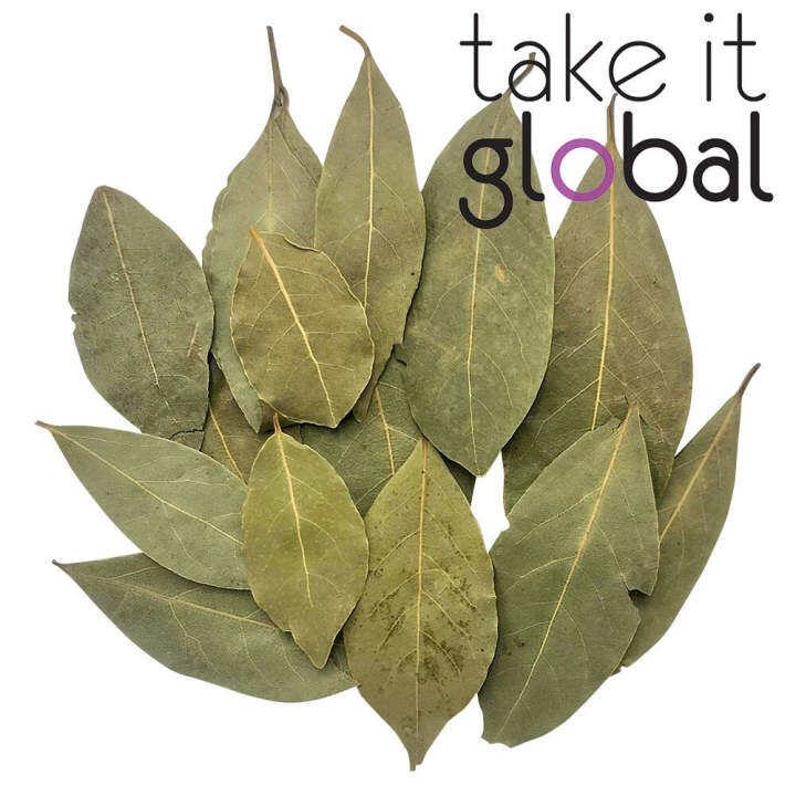 Dried Bay Leaves / Daun Salam Kering/ 月桂叶 - Food Grade/ Briyani Leaf/ Natural Spices | Lazada