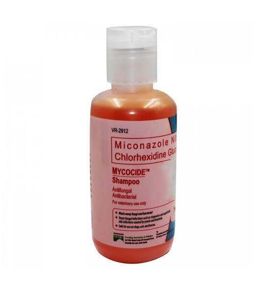 Mycocide Shampoo Medicated Anti Fungal shampoo 150ml | Lazada PH