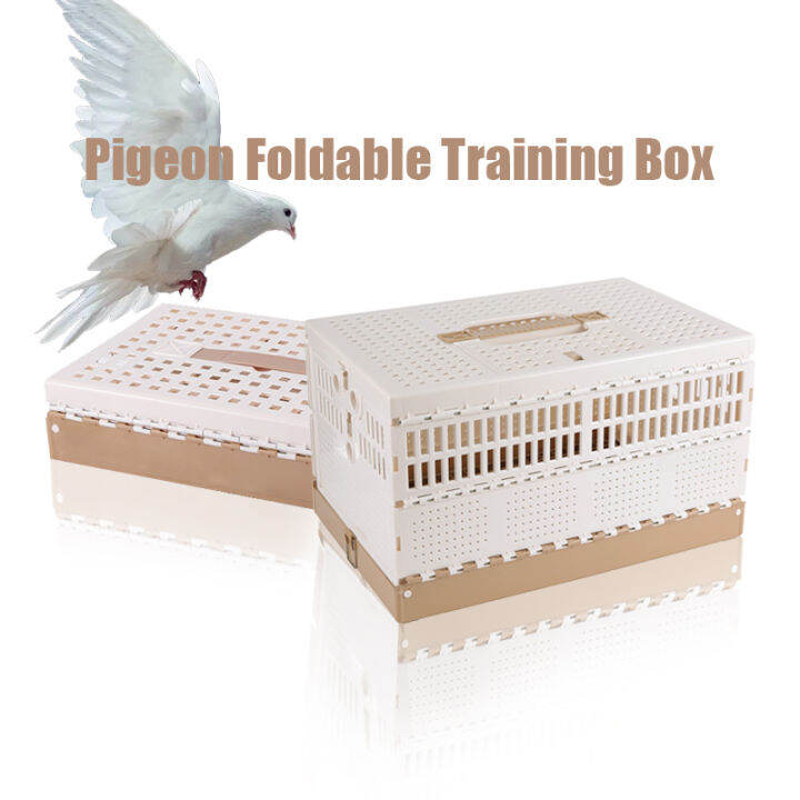 Taiwan Foldable Pigeon On Hand Tbox Cage Portable Ppigeon Cage Pigeon ...