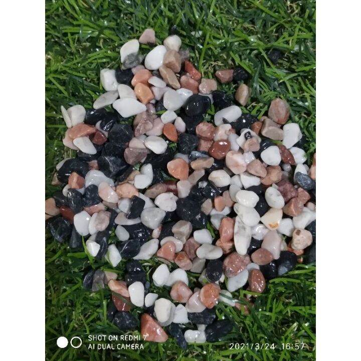 💐💐1 kg💐💐 mix colour stone/batu aquarium /batu chiping /batu Hiasan ...
