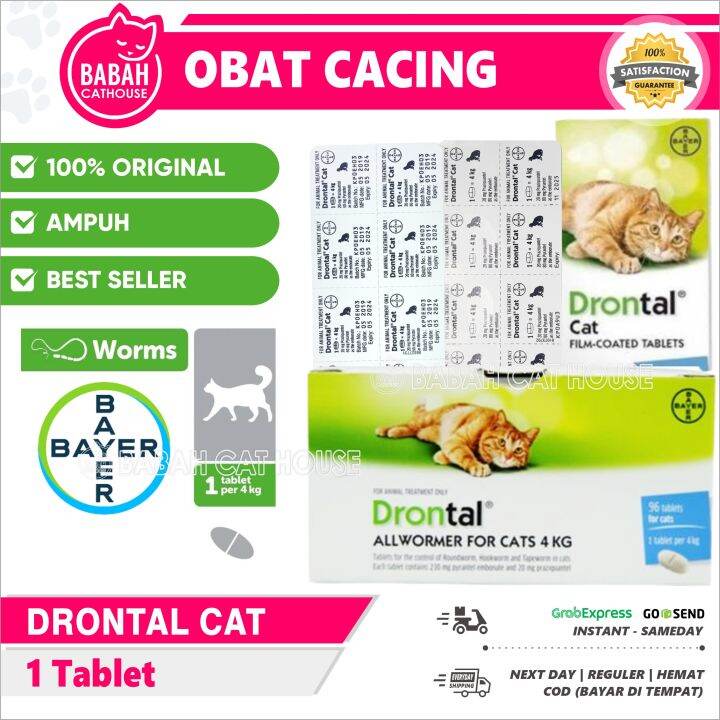 DRONTAL CAT Asli Original Obat Cacing Kucing Anak Kitten Ampuh Murah ...