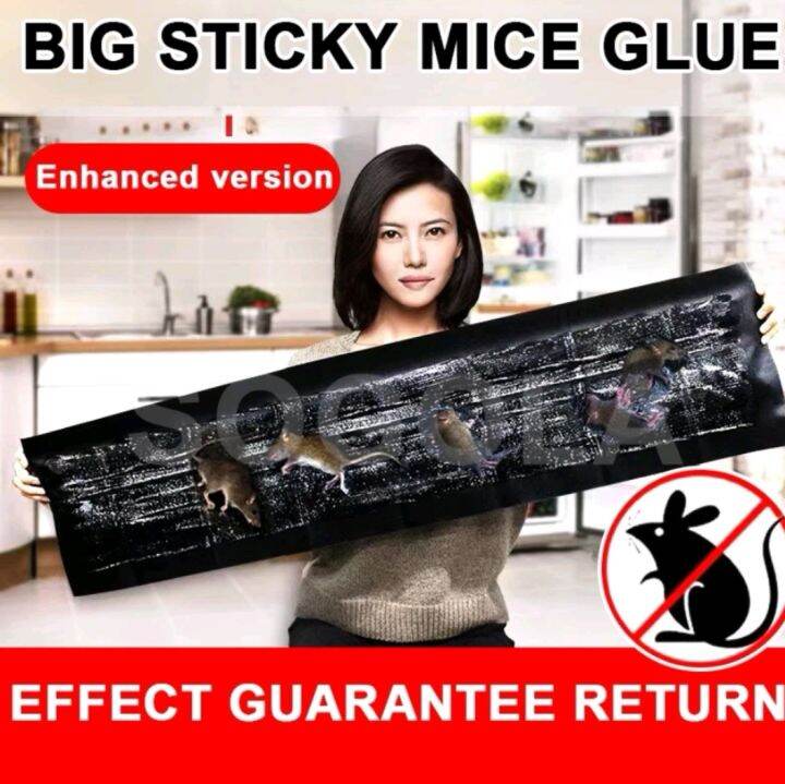 Big Sticky Mice Rat Glue Trap Mouse Board High Effective Rodent Rat ...