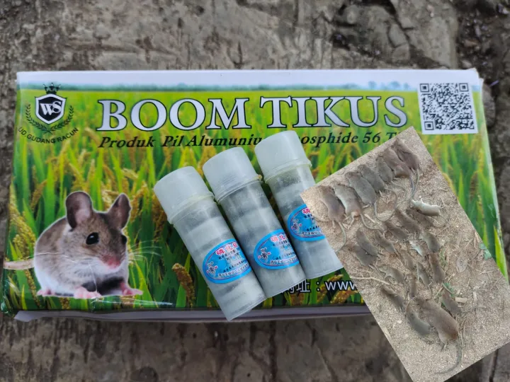 Boom Tablet Racun Tikus Phosphide Non Maowang | Lazada Indonesia