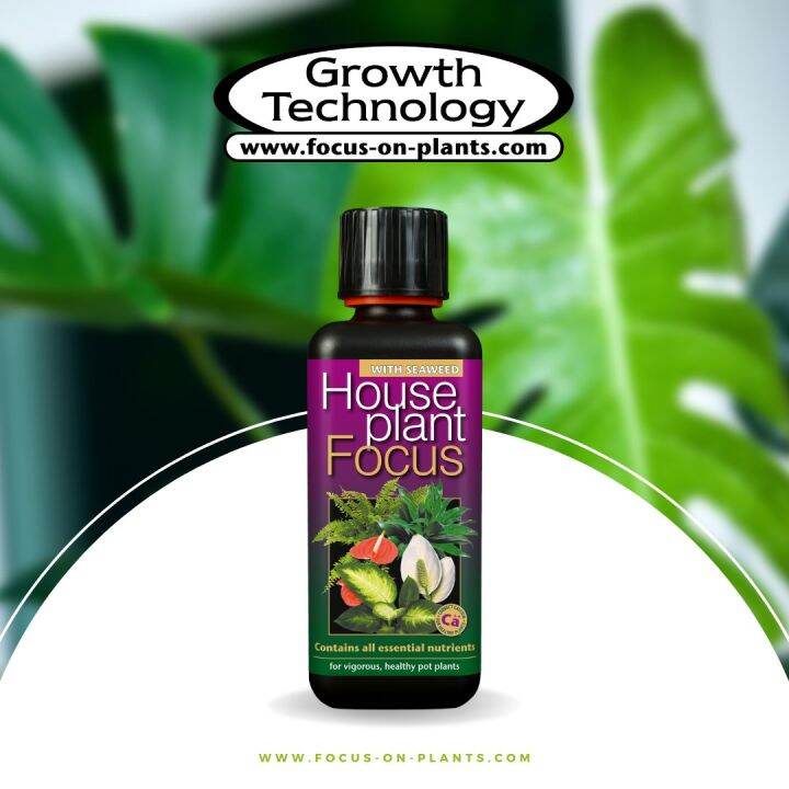 Growth Technology Houseplant Focus (Plant Nutrient, Plant Fertilizer ...