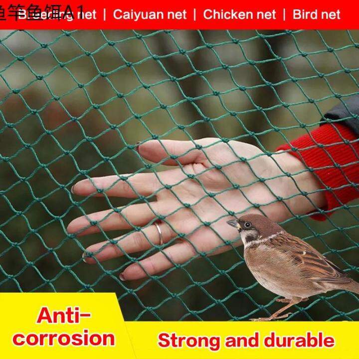 ☆FEILI Chicken Net 100M50M30M Farming Net Outdoor Garden Vegetable Plot ...
