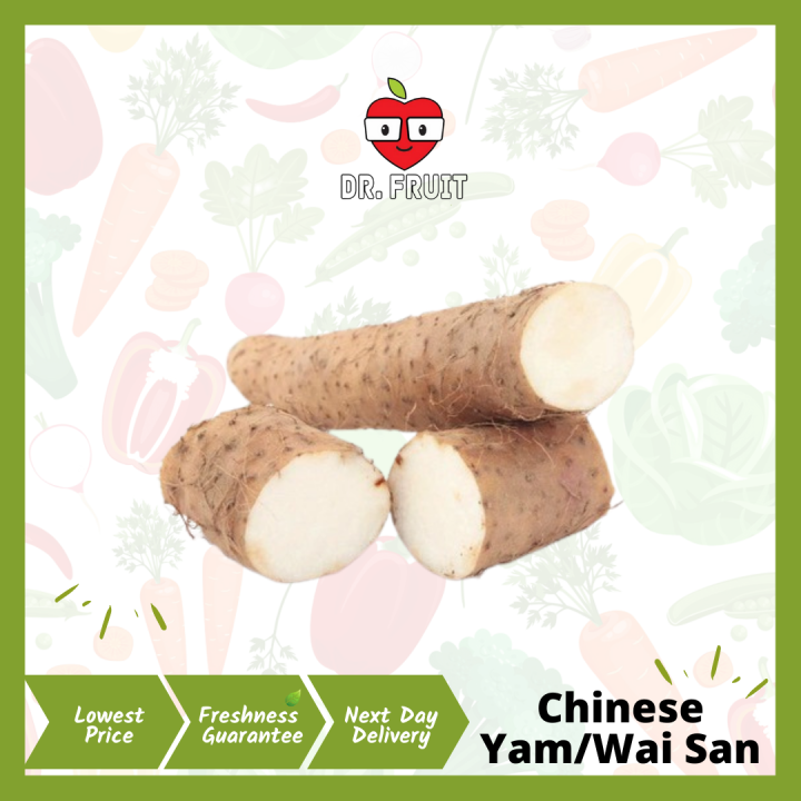 Chinese Yam/Wai San (400g-600g) 山药/淮山| Dr.fruit / shan yao | Lazada