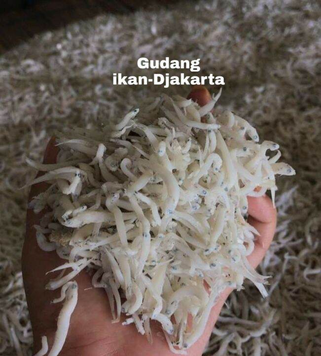 ikan asin teri medan/jengki/bontio netto-250g | Lazada Indonesia