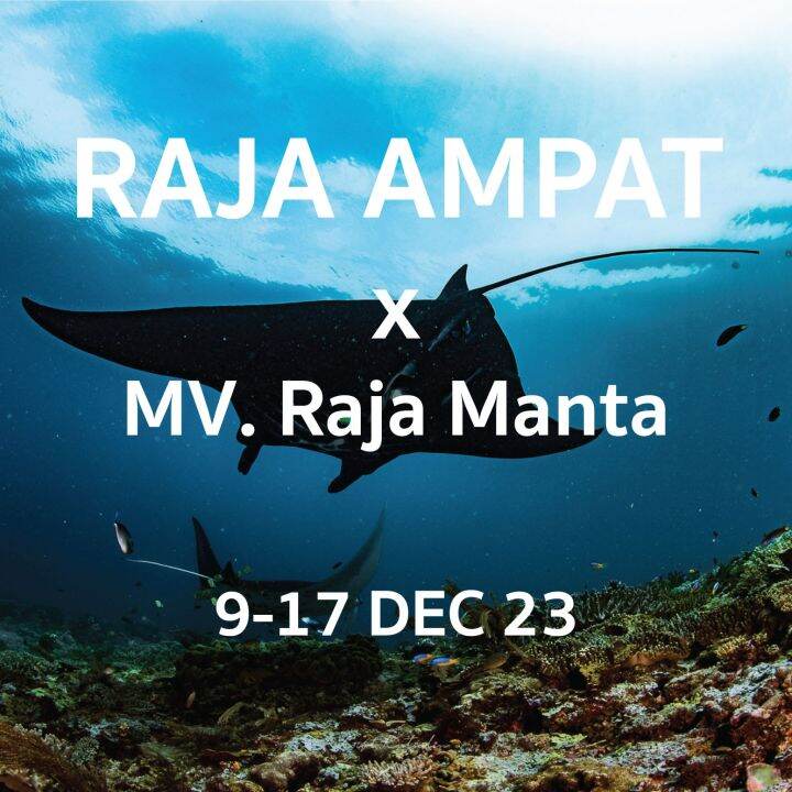 Dive Potato Trip RAJA AMPAT x MV. Raja Manta 9 - 17 Dec 2023 ทริปดำน้ำ (สอบถามรายละเอียดเพิ่ม ...
