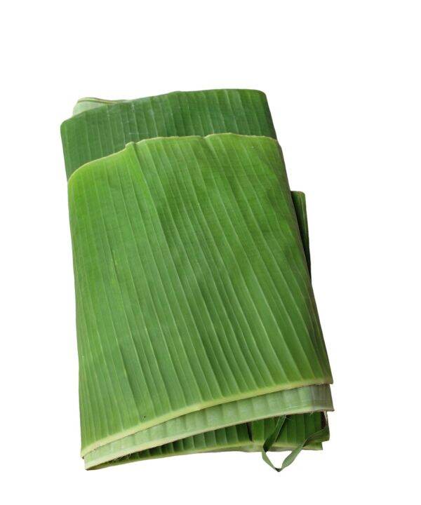 CLEAN AND GREEN 1KG DAHON NG SAGING FRESH | Lazada PH