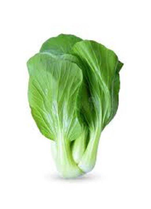 TAIWAN PECHAY SEEDS (BOK CHOY) | Lazada PH