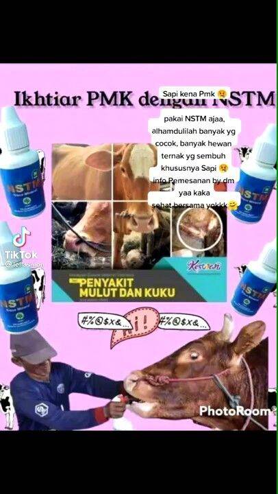 NSTM NASA OBAT SAPI ORIGINAL ANTI VIRUS PMK REAL TESTIMONI FREE ONGKIR ...