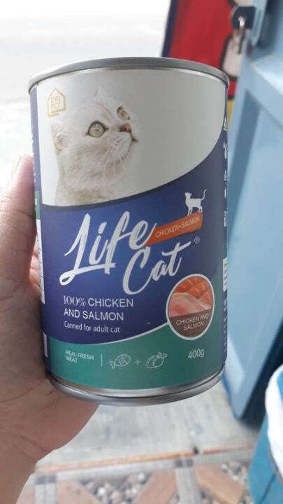 Life cat chicken dan salmon canned for kitten 400gr | Lazada Indonesia