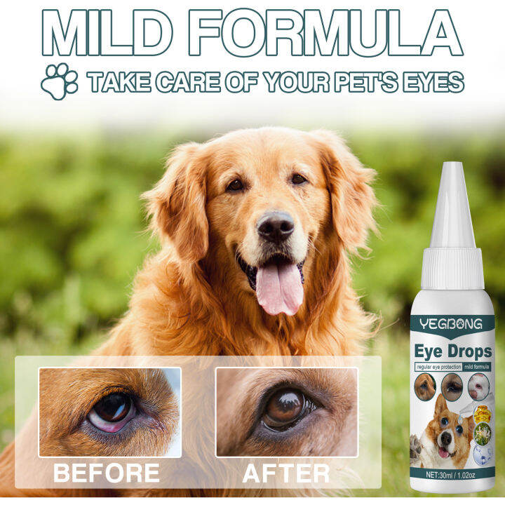 1 Bottle Yegbong Eye Drops Clean Tear Stains Eye Poop Remove Tear ... 1 Bottle Yegbong Eye Drops Clean Tear Stains Eye Poop Remove Tear ...