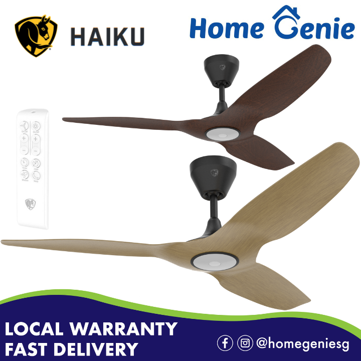 Installing Ceiling Fan In Mobile Home | Shelly Lighting