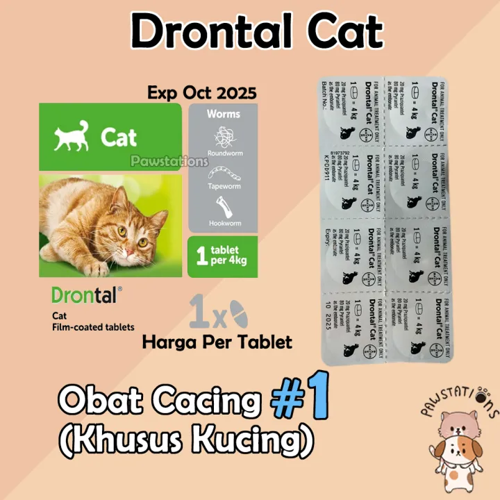 Drontal Cat Obat Cacing Kucing Tablet | Lazada Indonesia