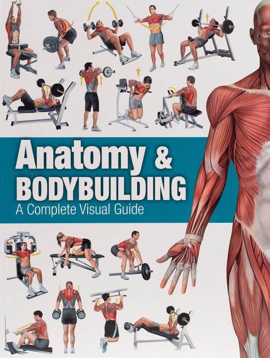 Anatomy & Bodybuilding: A Complete Visual Guide | Lazada.co.th