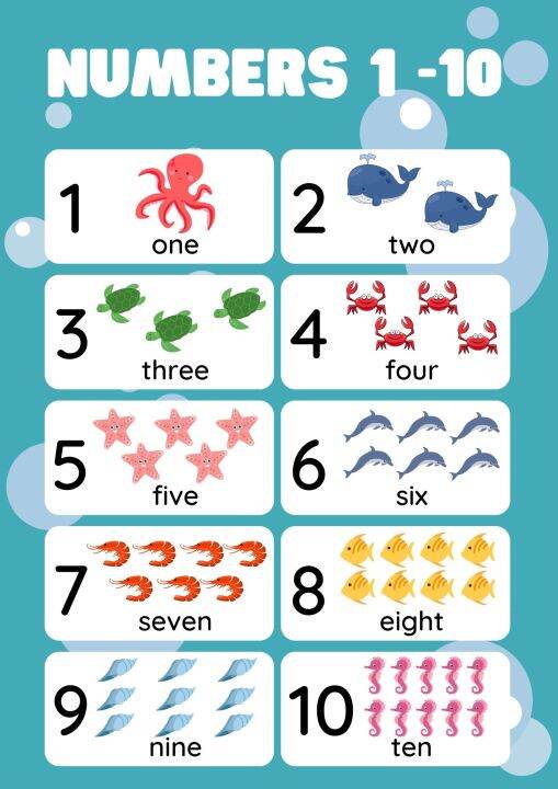 Laminated Numbers 1-10 | Lazada PH