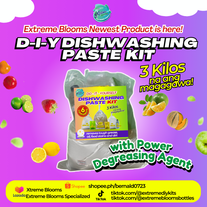 EXTREME DIY Dishwashing Paste Kit | Lazada PH
