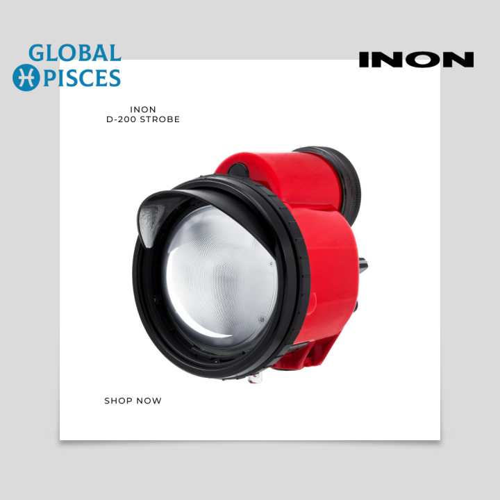 INON D-200 Strobe | Lazada