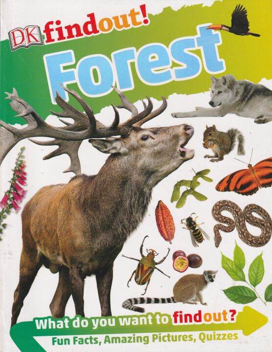 DK FINDOUT! :FOREST BY DKTODAY | Lazada.co.th