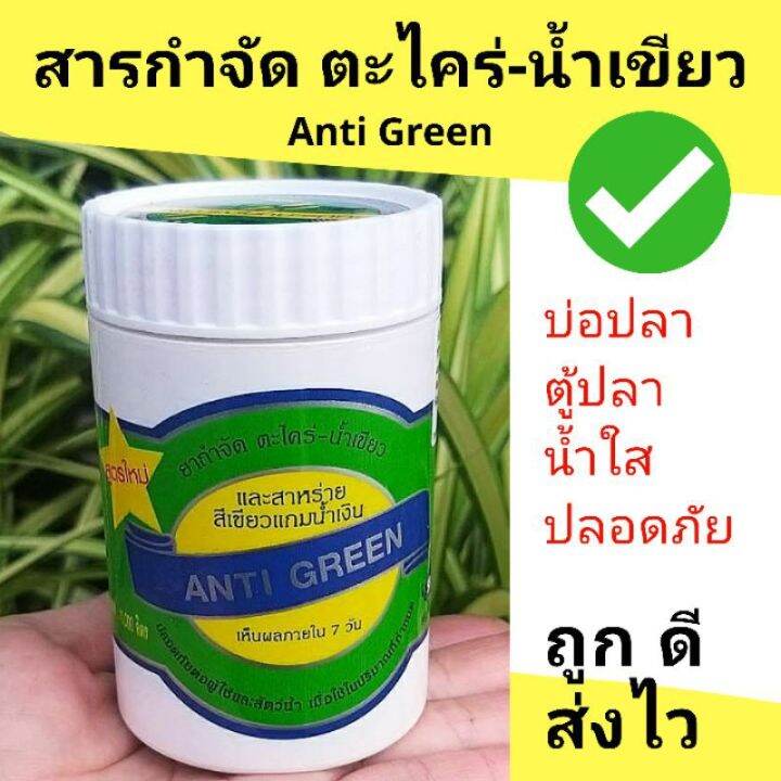 ด่วน!! ANTI GREEN ของแท้ 100%ยากำจัด ตะไคร่-น้ำเขียว และสาหร่าย ในบ่อ ...