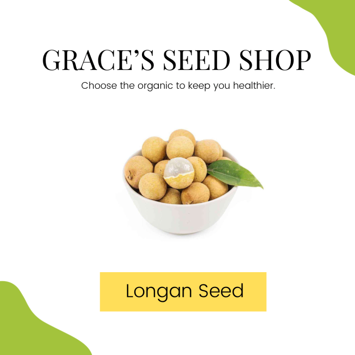 Longan seeds-High Quality Seeds - Fruit seeds- positive tree species ...
