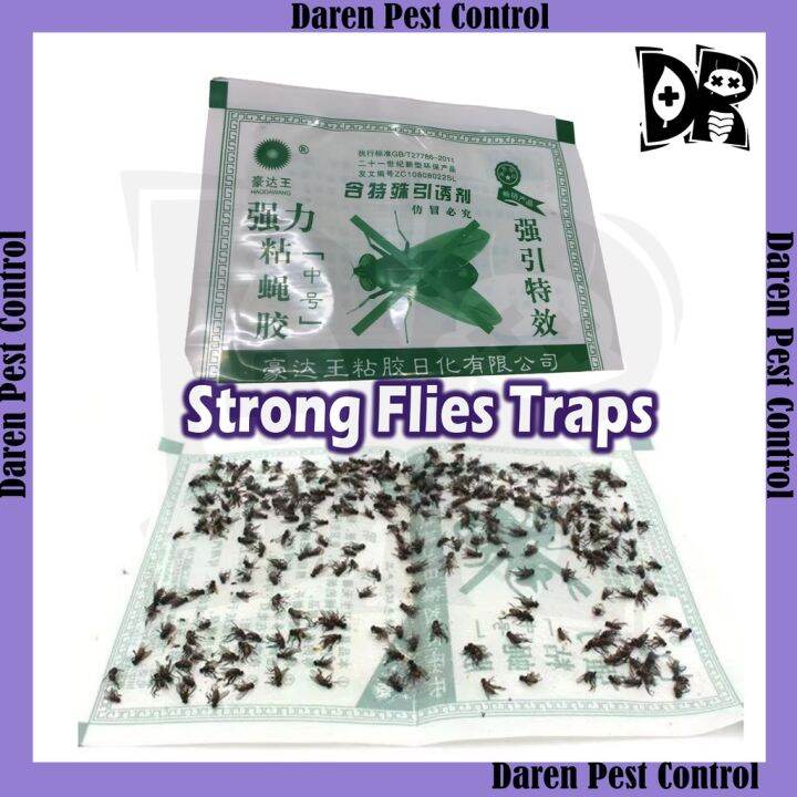 Pelekat serangga Double-Sides Yellow Sticky Trap Flies Trap Insect ...