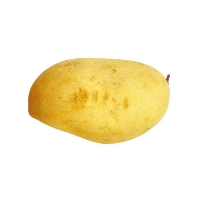 Guimaras Mango [Ripe] (250-350g) | Lazada PH