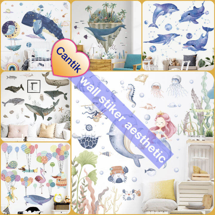 stiker dinding motif ikan paus biru dan bumi, jenis jenis paus, paus ...