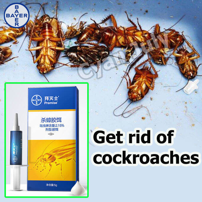 Bayer 100% effective cockroach killing bait roach killer Blattanex ...
