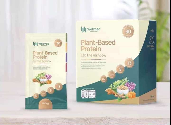 WELLMED PLANT BASED PROTEIN | Lazada
