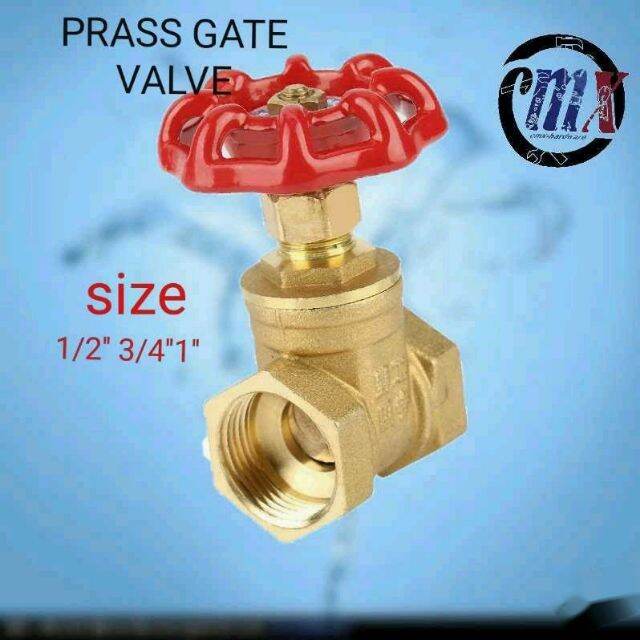 【READY STOCK】 Brass Gate Valve 12 34 1 Water Pipe Brass Valve | Lazada PH