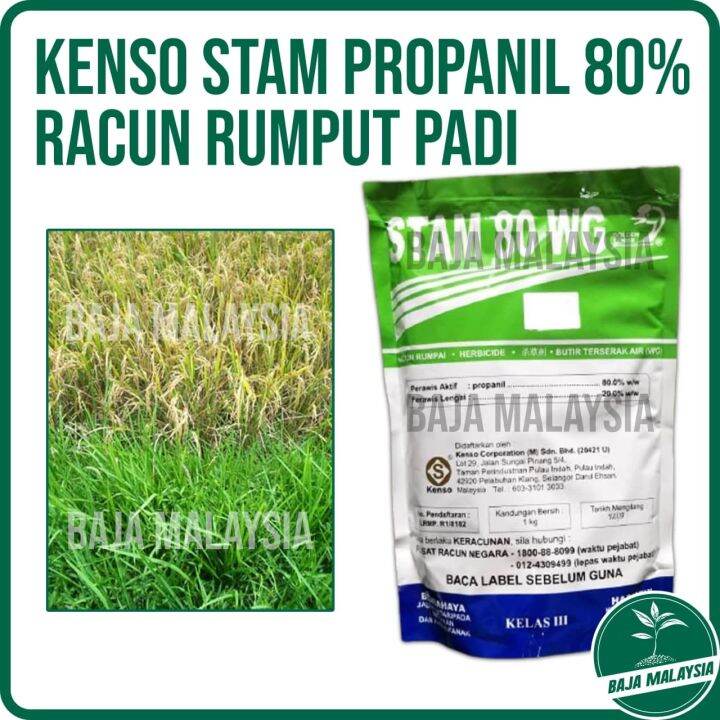 KENSO Stam Propanil 80% Weed in Rice Chemical Racun Rumput Padi 1kg ...
