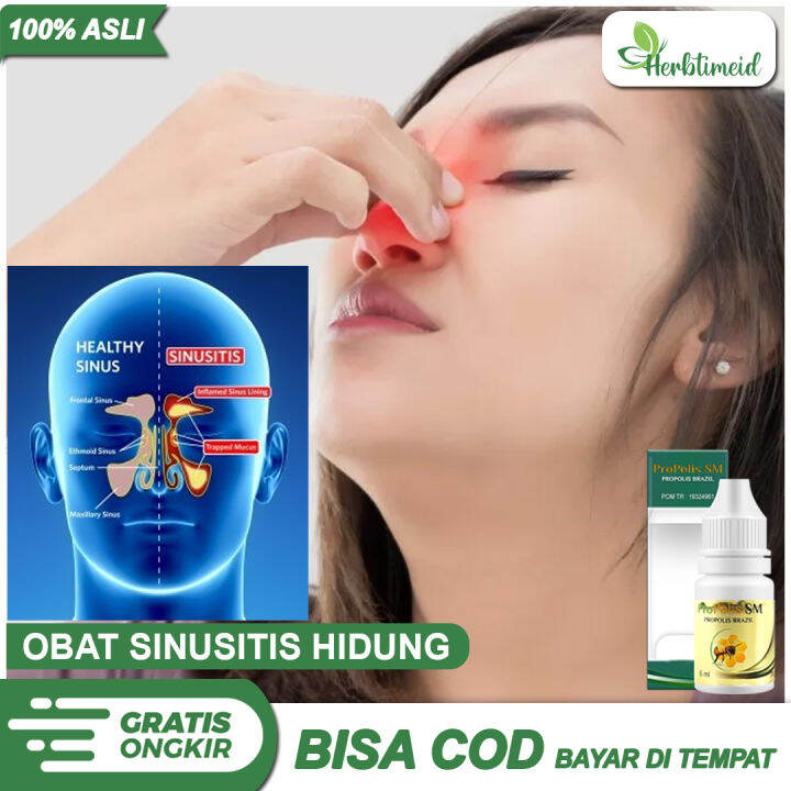 Obat Sinus Hidung Obat Sinusitis Pilek Menahun Flu Alergi Hidung ...