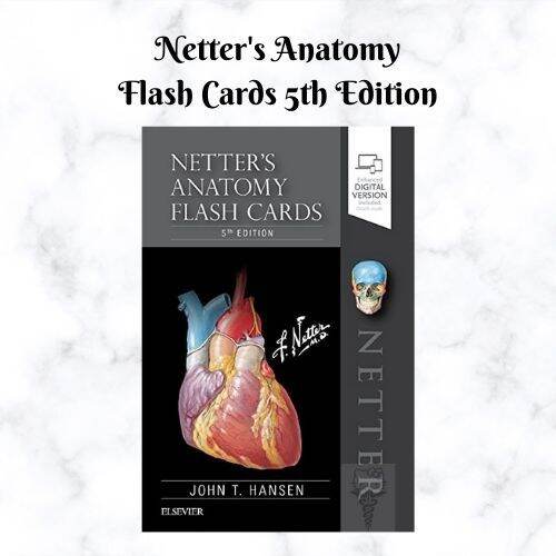 Netter’s Anatomy Flash Cards 5th Edition | Lazada PH